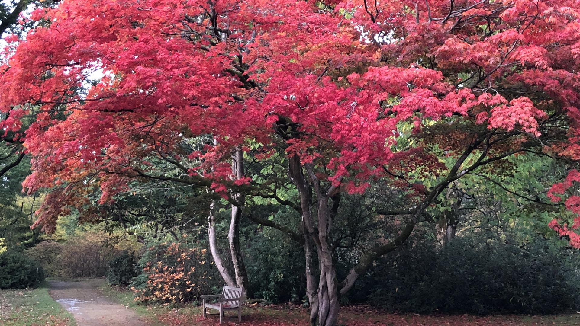 Visit Surrey: The official tourism website for Surrey