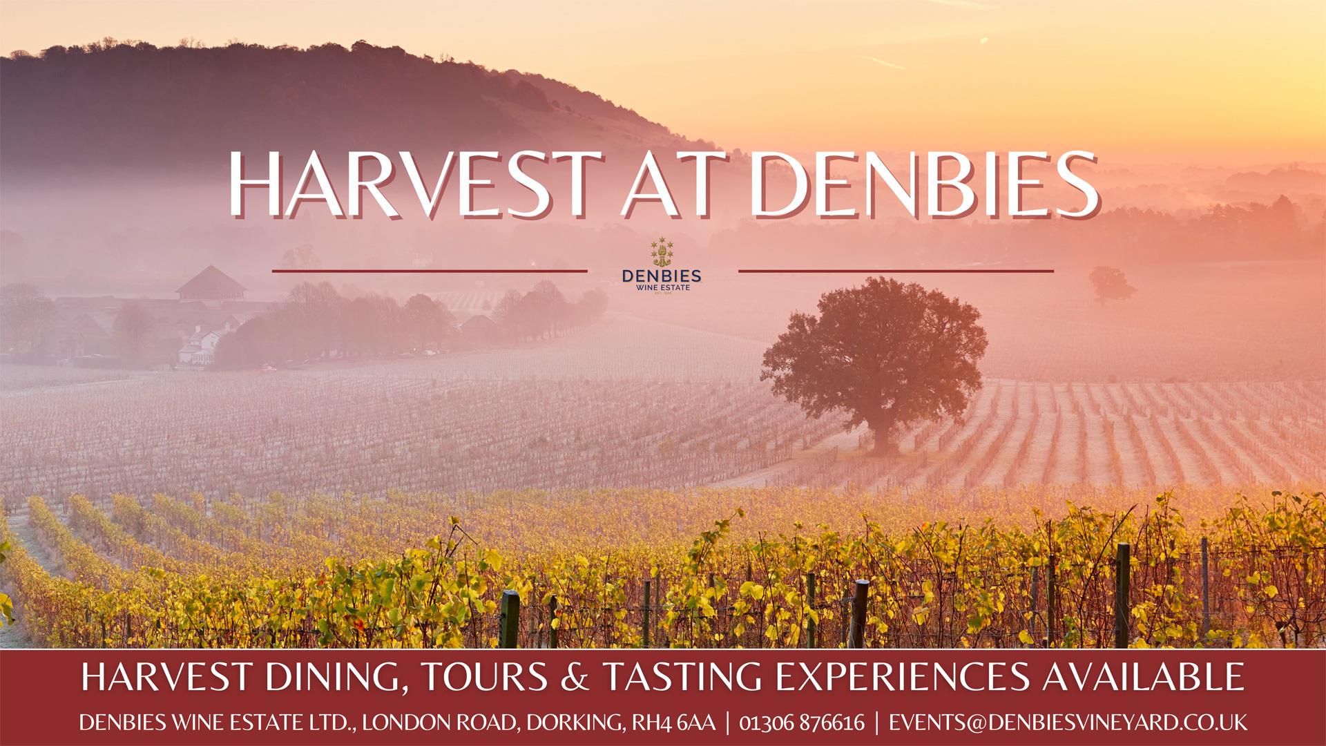 Visit Surrey: The official tourism website for Surrey