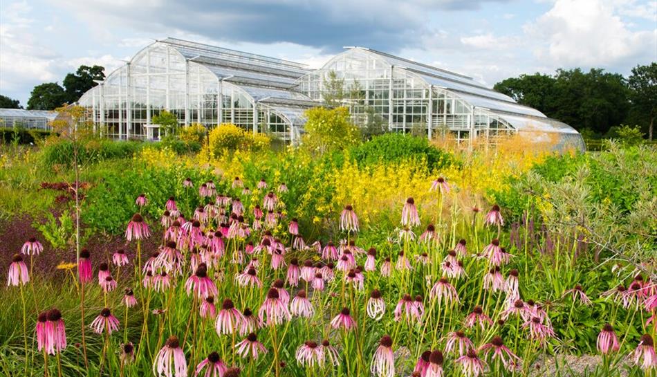 RHS Garden Wisley - Garden in Woking, Woking - Visit Surrey