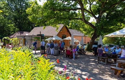 Find the Best Places for Afternoon Tea in Surrey - Visit Surrey