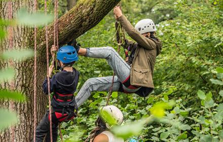 Festivals, Fairs and Fetes in Surrey - Visit Surrey