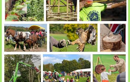 Festivals, Fairs and Fetes in Surrey - Visit Surrey