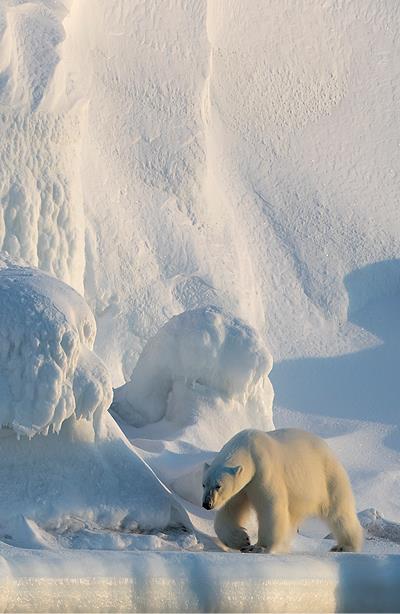 Welcome to the High Arctic of Svalbard! - Visit Svalbard