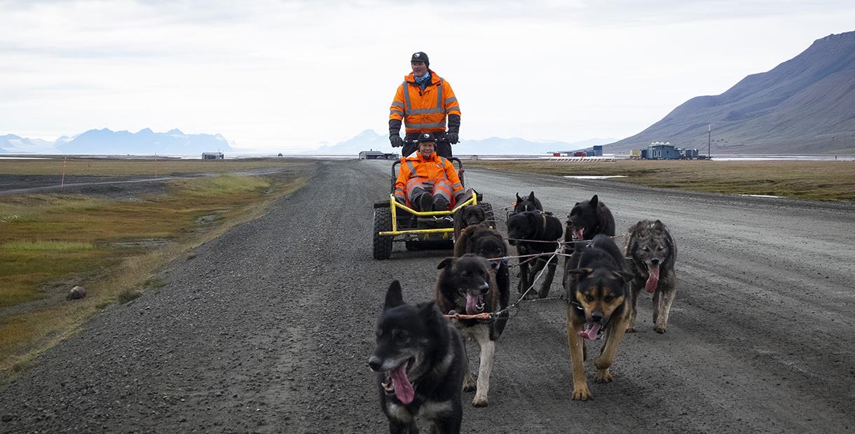 10 summer experiences in Svalbard