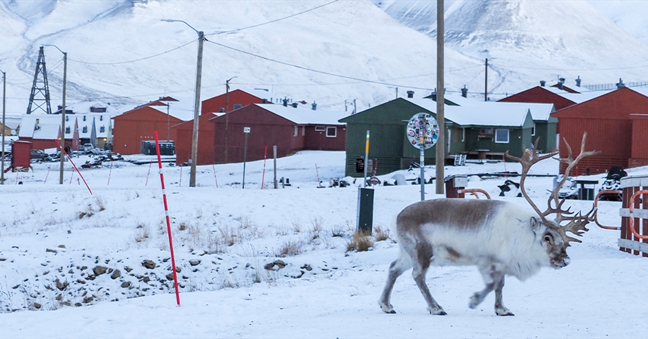 Visitor information | Visit Svalbard