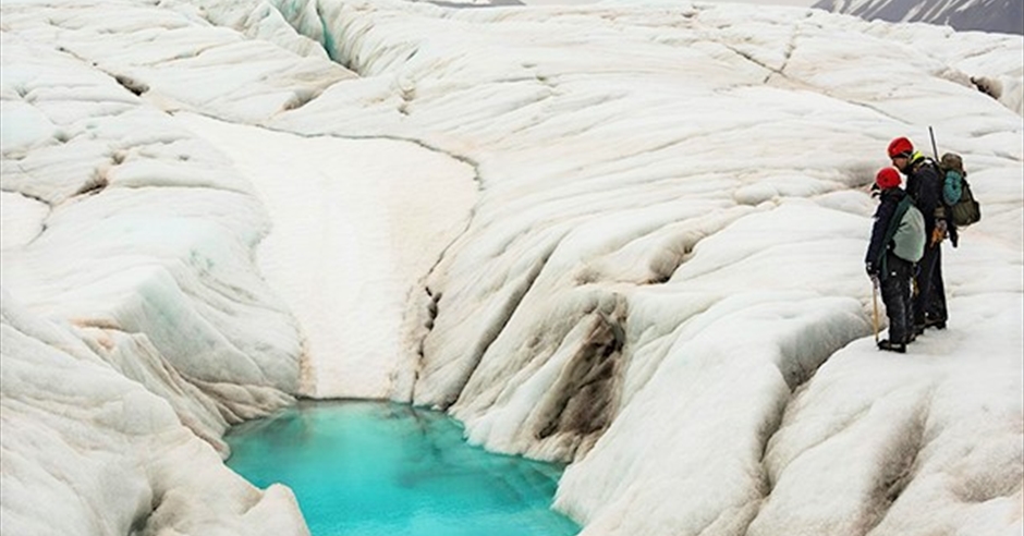 Activity providers - Visit Svalbard