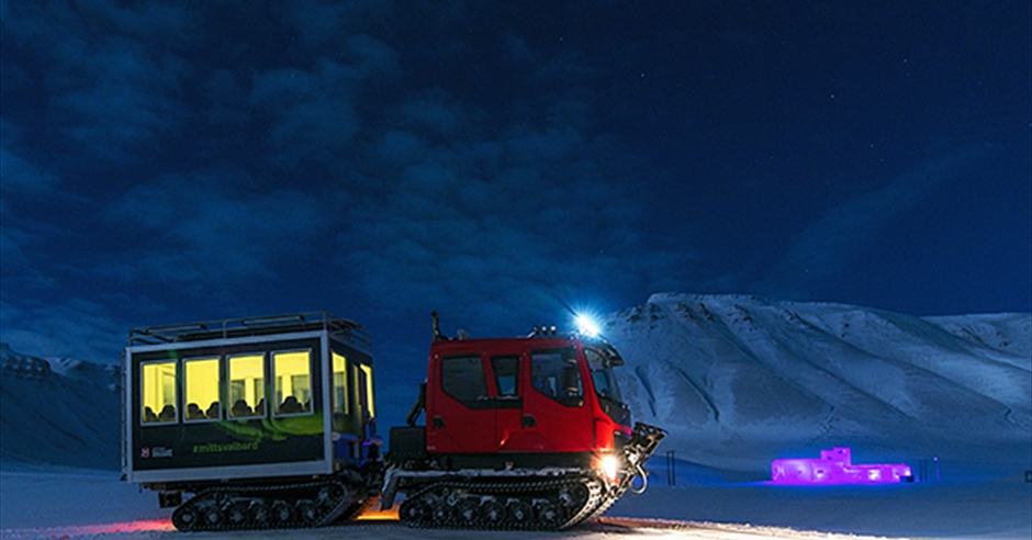 Beltevogn - Visit Svalbard