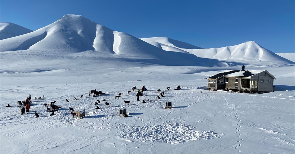 3-day dog sledding adventure to the lodge among glaciers - Arctic Husky ...