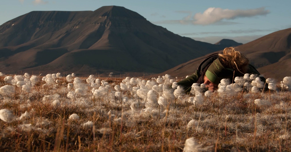 All in One: Scenic Drive & History Walk with Huskies – Svalbard ...