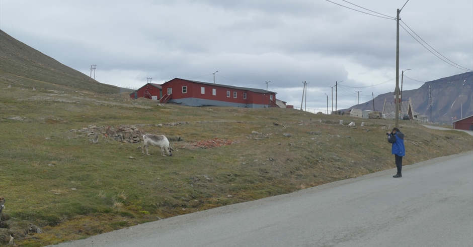 Longyearbyen City Walk with Arctic Meal - Rana Itinerans - Sightseeing ...