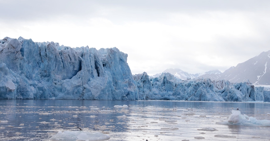 Spot the dot - Opplev isbre og dyreliv med lukket båt - Basecamp ...
