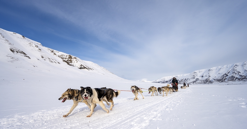 Arctic dog sledding in Bolterdalen - Basecamp Explorer Spitsbergen ...