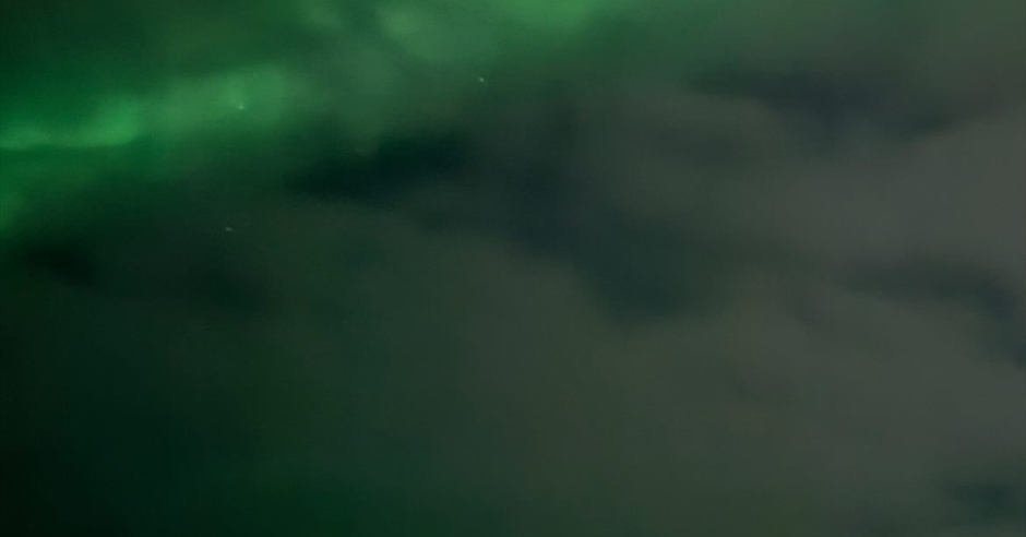 All in One: Scenic Drive & History Walk with Huskies – Svalbard ...