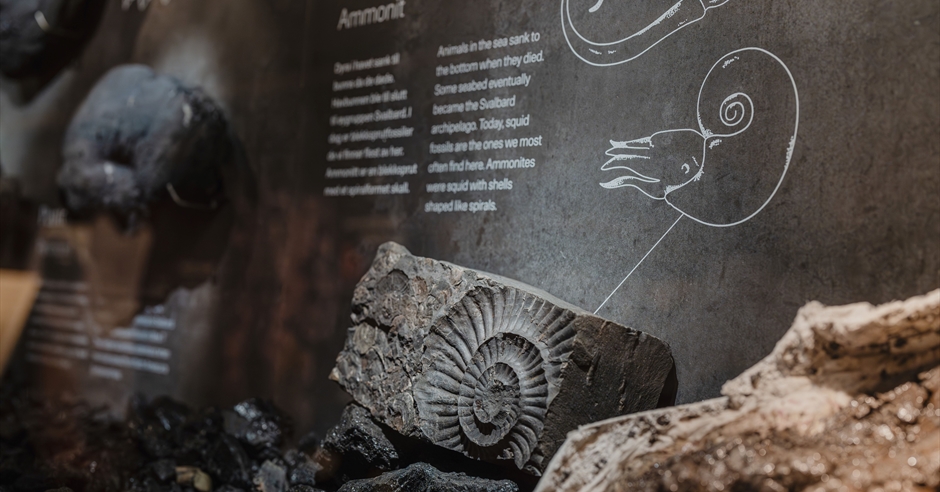 Svalbard Museum - Museum in Longyearbyen, Spitsbergen - Visit Svalbard