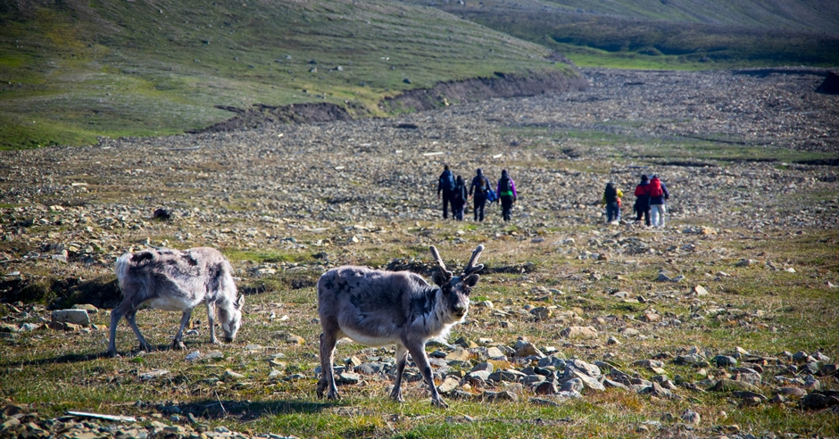 (Spoilers Main) What Does Thenn look like ? : r/asoiaf