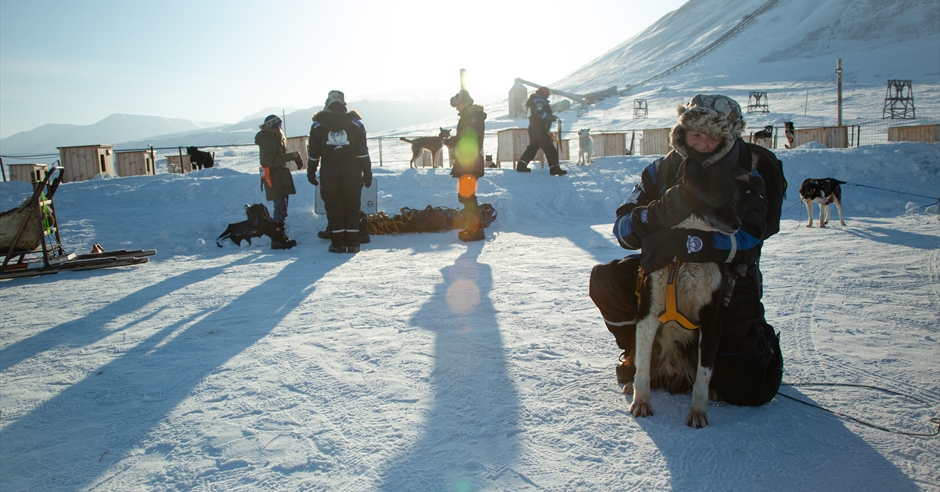 Full day trip with dogs to glacier - Svalbard Husky - Dog sledding in ...