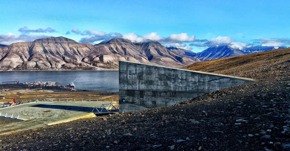 All in One: Scenic Drive & History Walk with Huskies – Svalbard ...