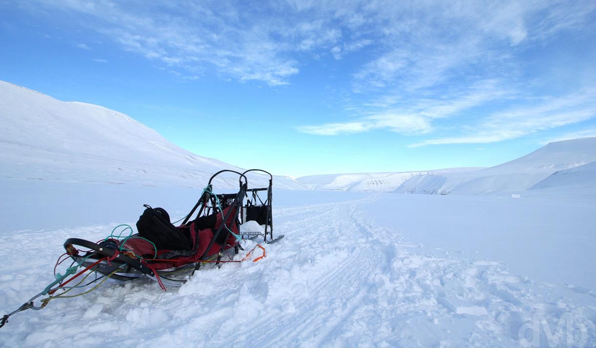 Explore the Arctic with your own dog team - Arctic Husky Travellers ...