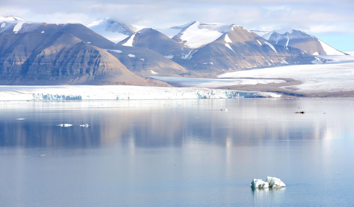 Spot the dot - Wildlife and glacier safari with closed boat - Basecamp ...