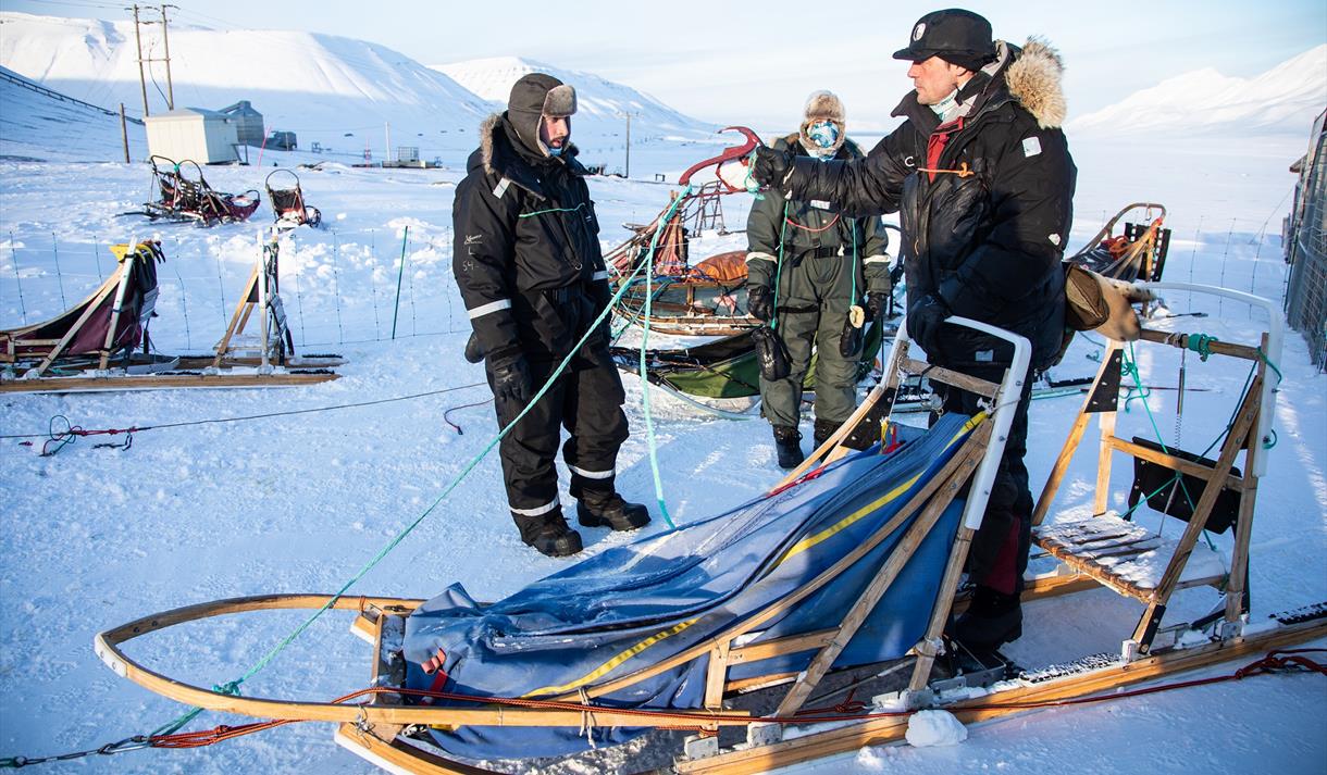 Explore the Arctic with your own dog team - Arctic Husky Travellers ...