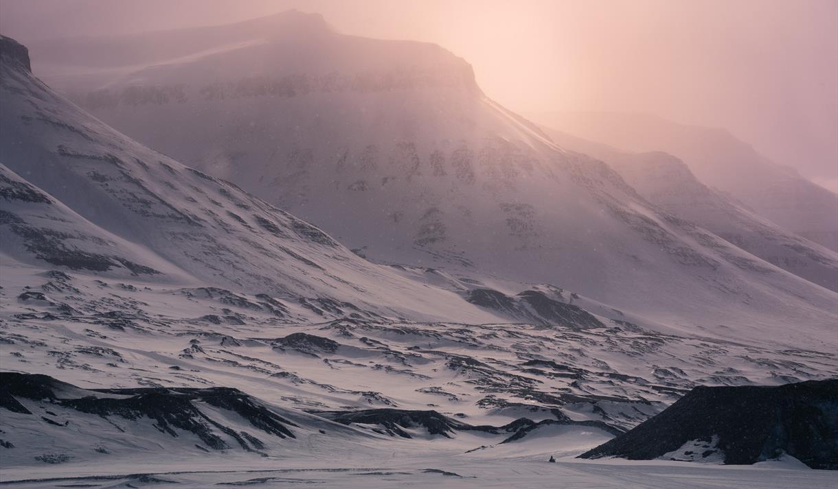 Ursus Maritimus – King of the Arctic - Better Moments - Snowmobile in ...