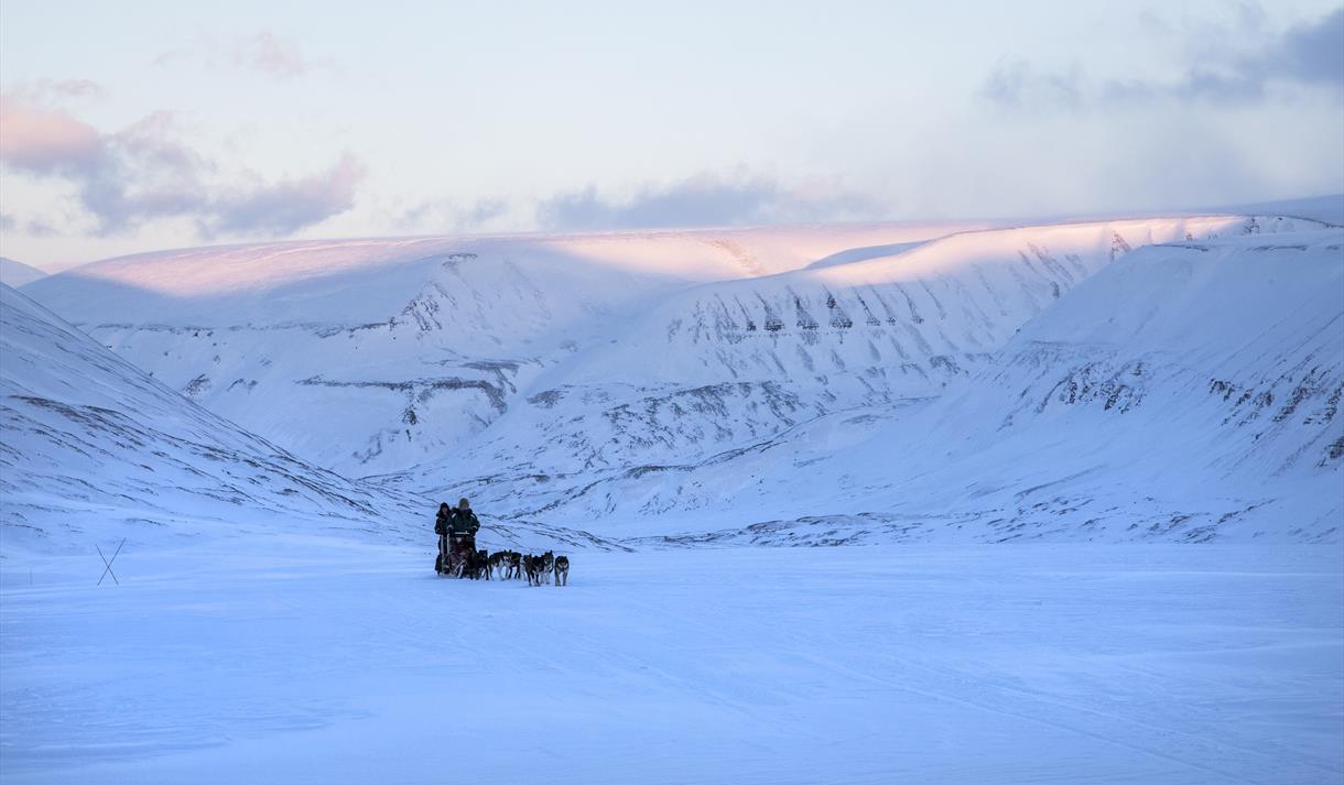 Explore the Arctic with your own dog team - Arctic Husky Travellers ...