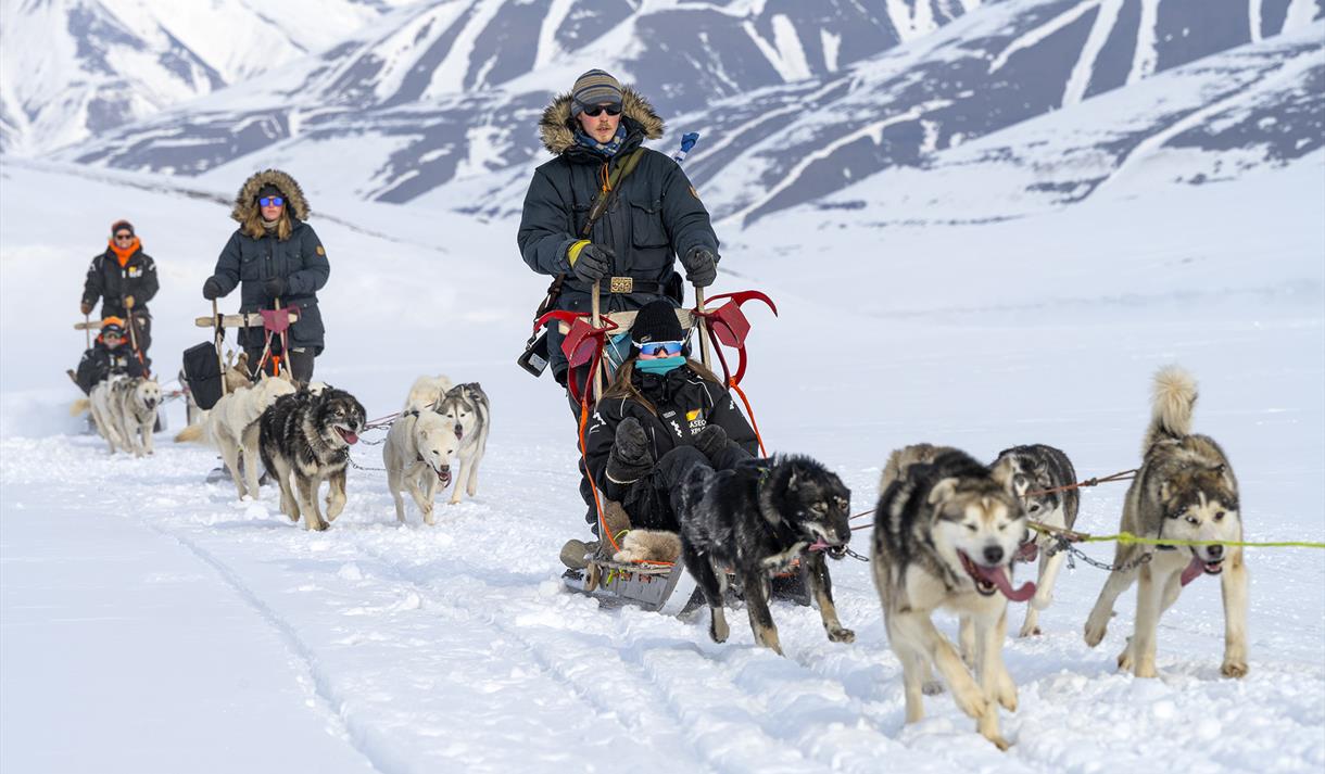 Arctic dog sledding in Bolterdalen - Basecamp Explorer Spitsbergen ...