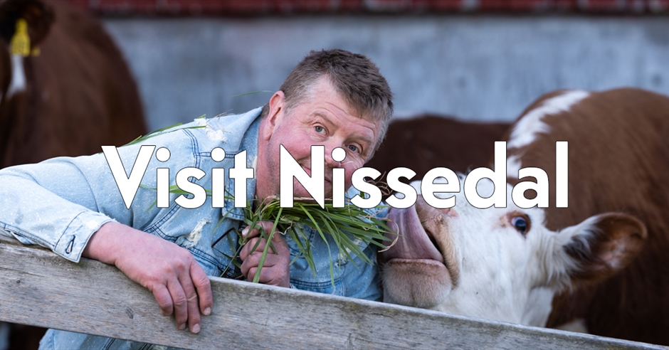 Visit Nissedal - Visit Telemark