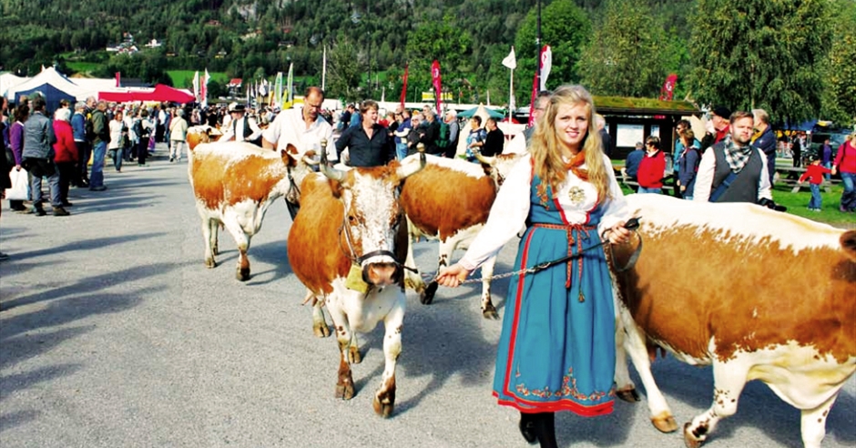 What is on in Telemark - VisitTelemark.com