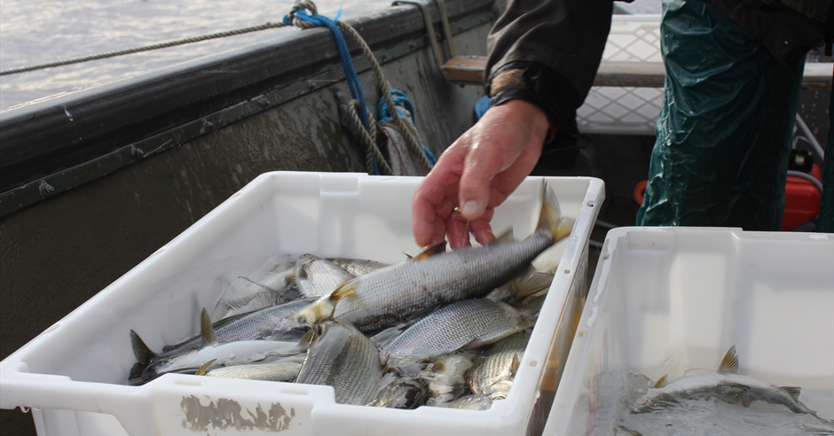 Fiske i Nisser - Fiske in Treungen, Nissedal - Visit Telemark