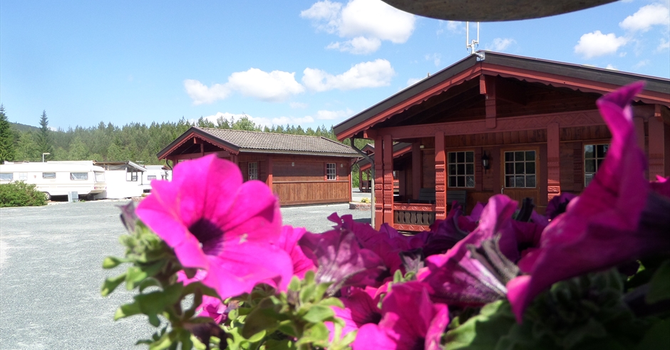 First Camp Bø - Telemark - Campingplass in Bø i Telemark, Midt-Telemark ...