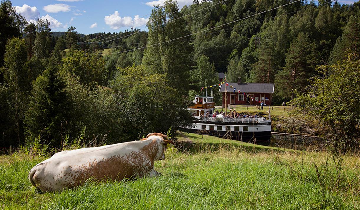 Skarravegen, Ulefoss – Vrangfoss - Vandring in Ulefoss, Nome - Visit ...