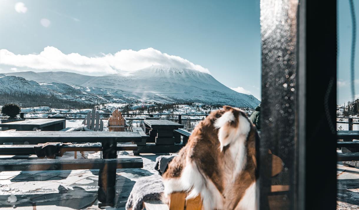 Gaustablikk Mountain Resort - Hotel in Rjukan, Tinn - Visit Telemark