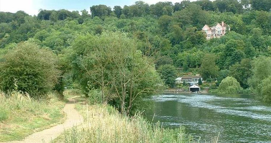 Walking along the Thames Path National Trail - Visit Thames