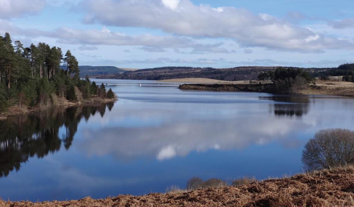 Calvert Kielder - Hexham - Accessible Holidays - Tourism For All