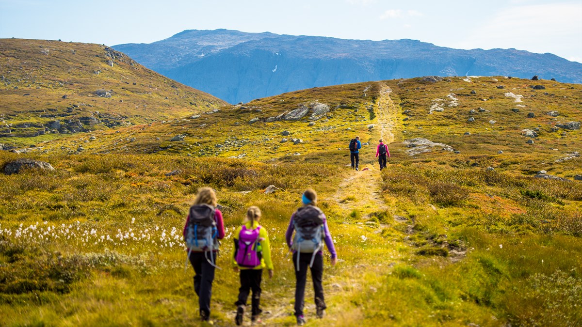 Kongevegen over Filefjell - Valdres
