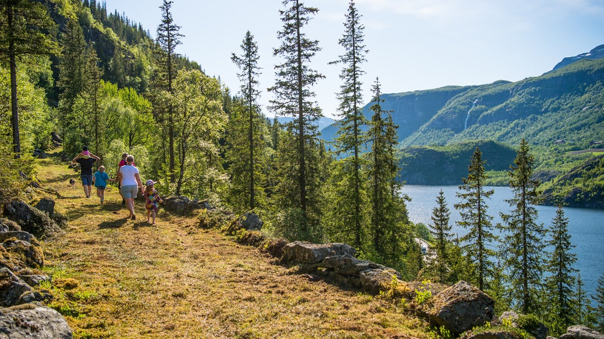Kongevegen over Filefjell i reiselivsmeldingen - Valdres