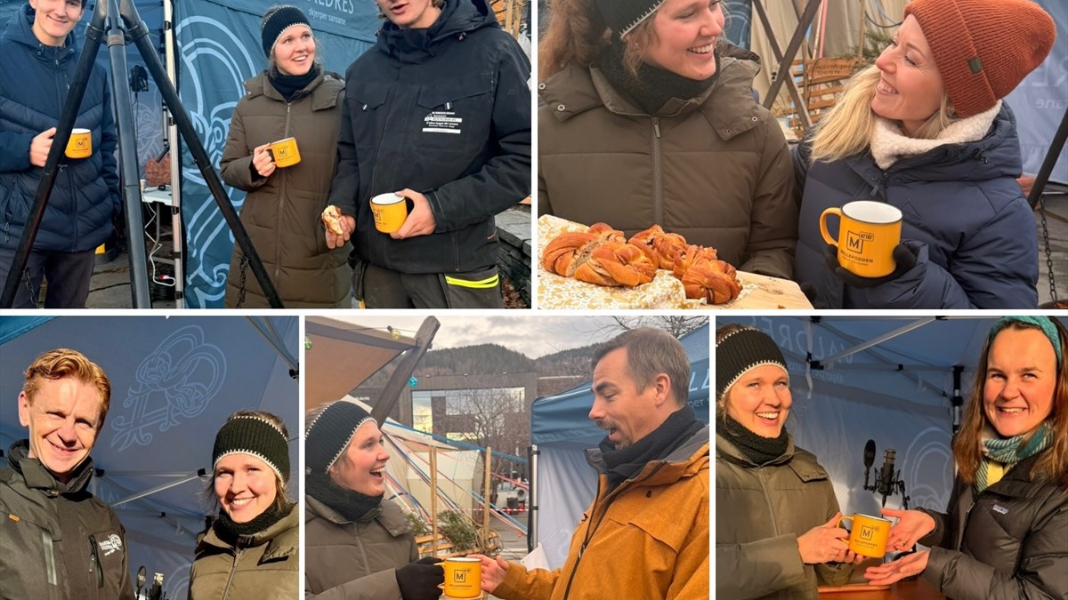 Mellepodden Attåt på Rakfisken - Velg Valdres