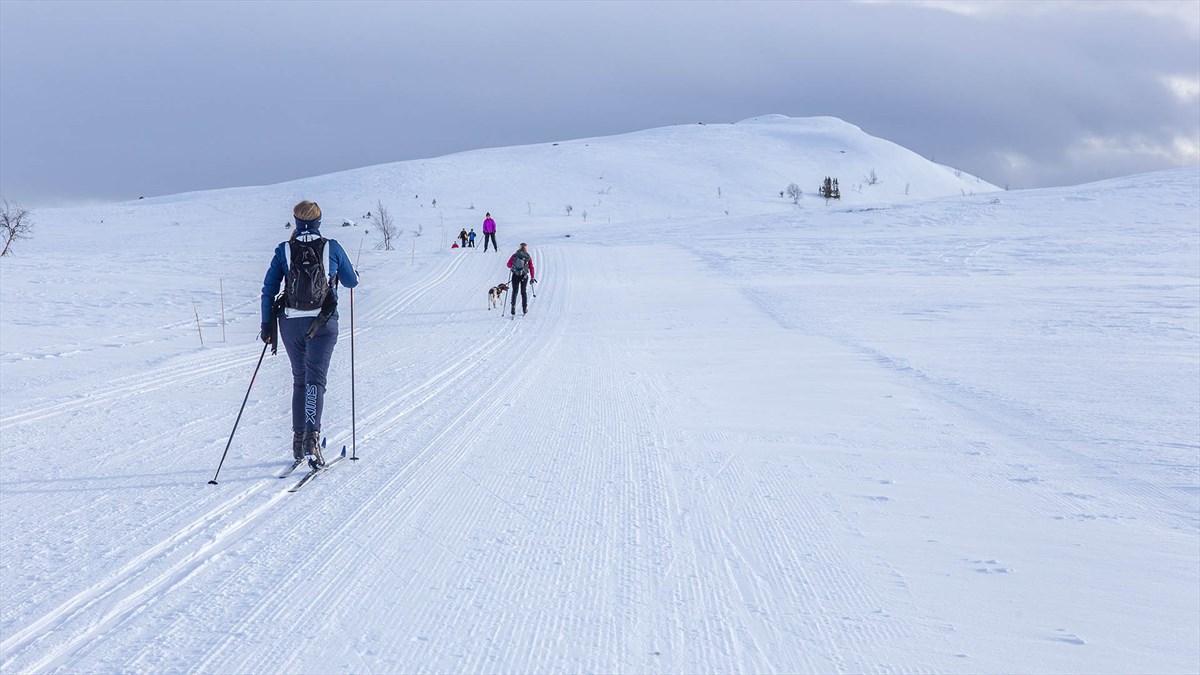 Skiing in Beitostølen - Valdres