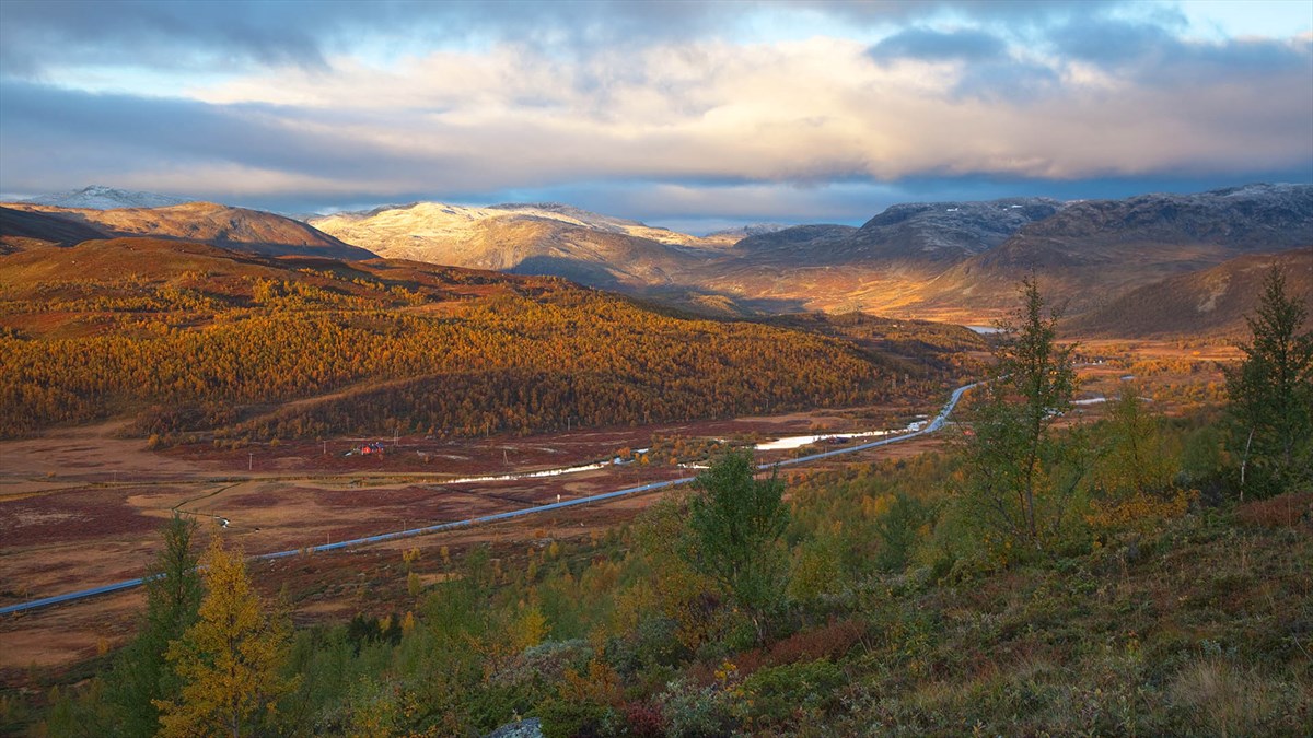 Buses along the King's Road - Valdres