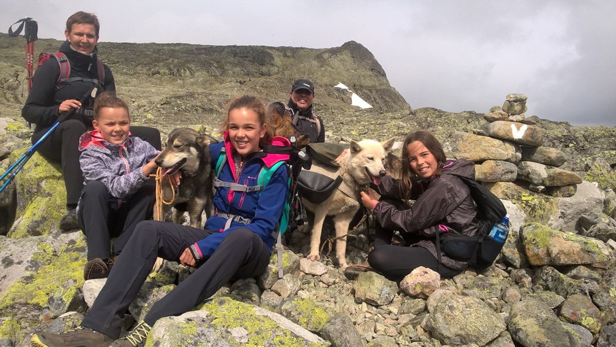 Beito Husky Tours - Husky Hike in the Mountains of Norway - Valdres