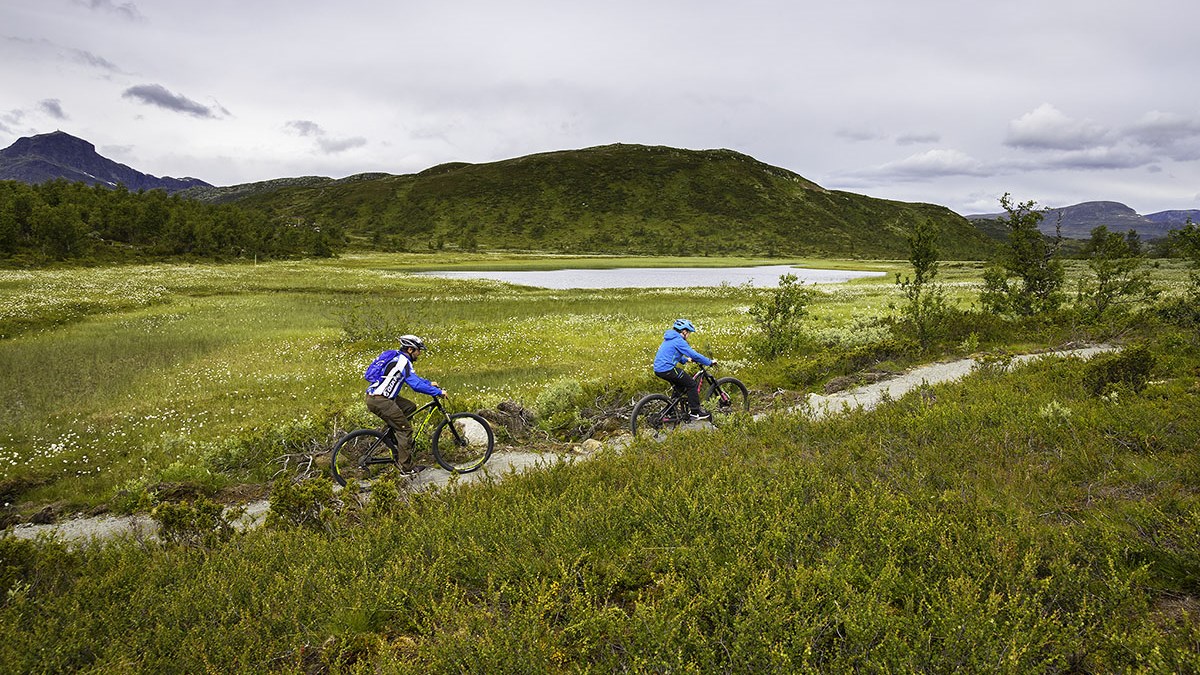 Beitostølen Trail Arena - Valdres