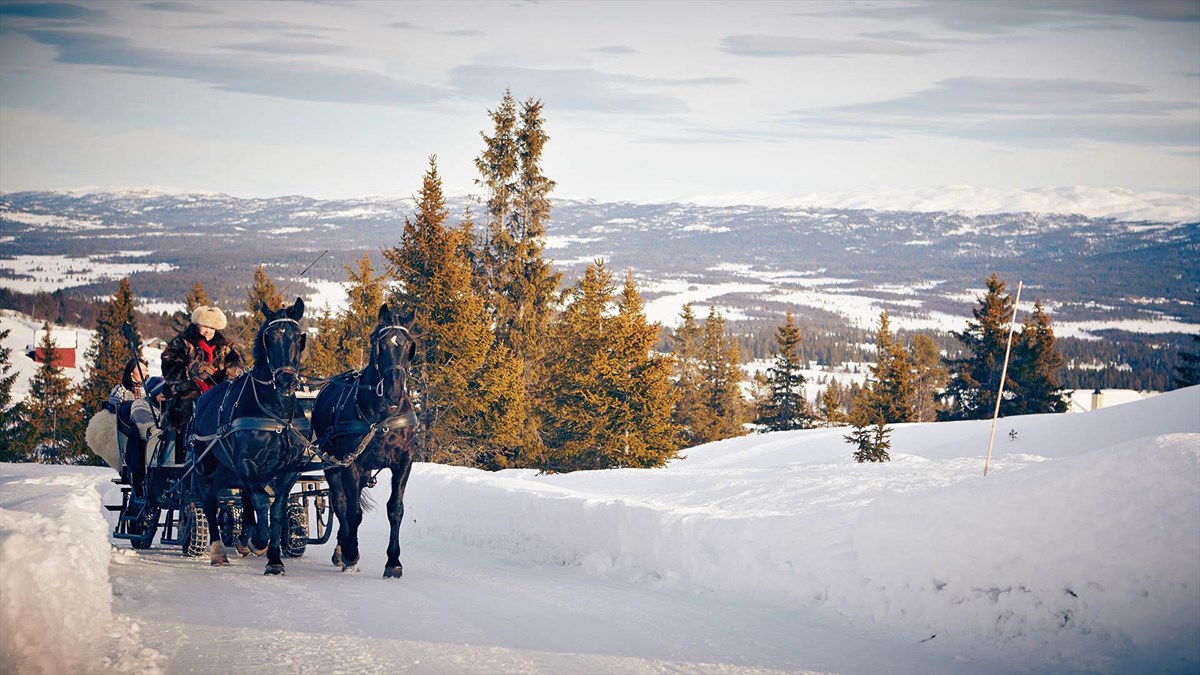 Fjellridning på Storefjell - Valdres