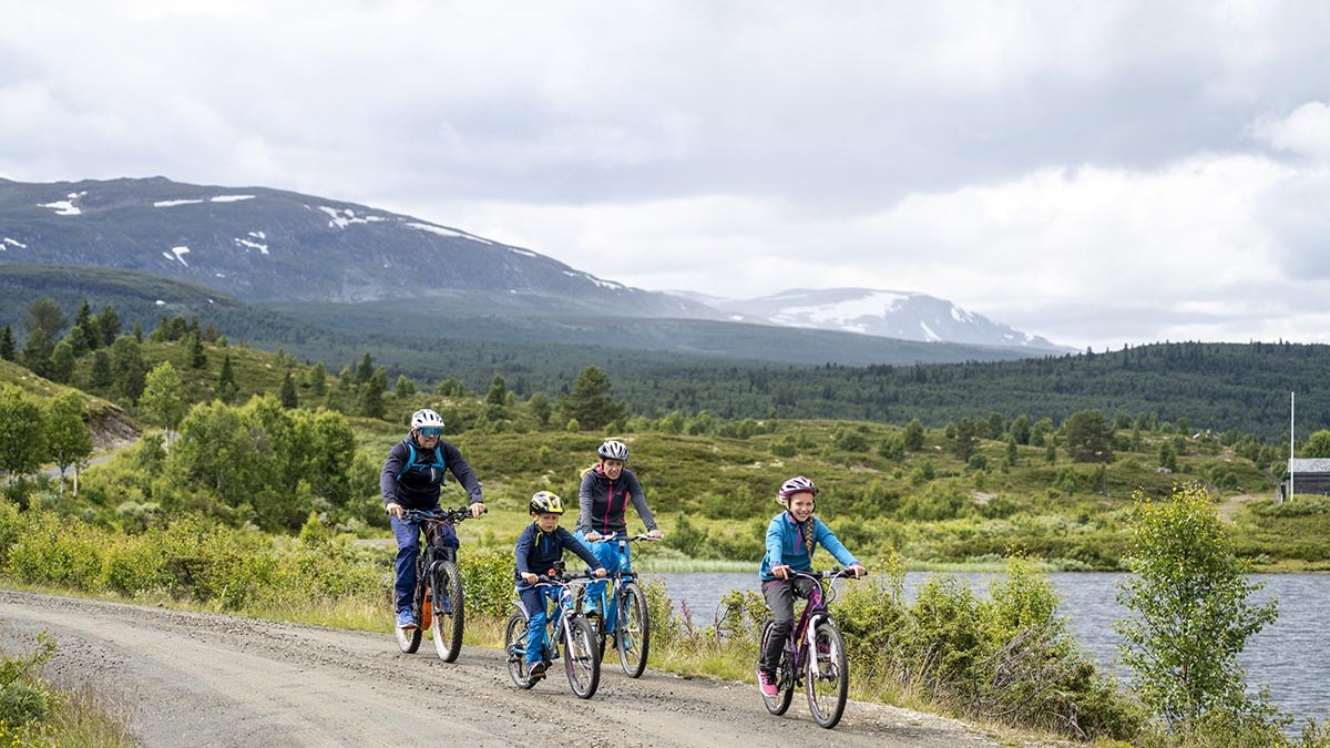 Cycling tour around Lake Vaset - Valdres