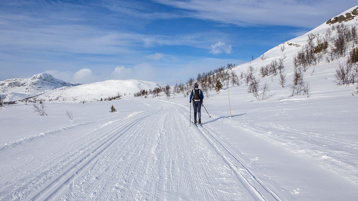 Panoramaskitur fra Beitostølen til Bygdin - Valdres