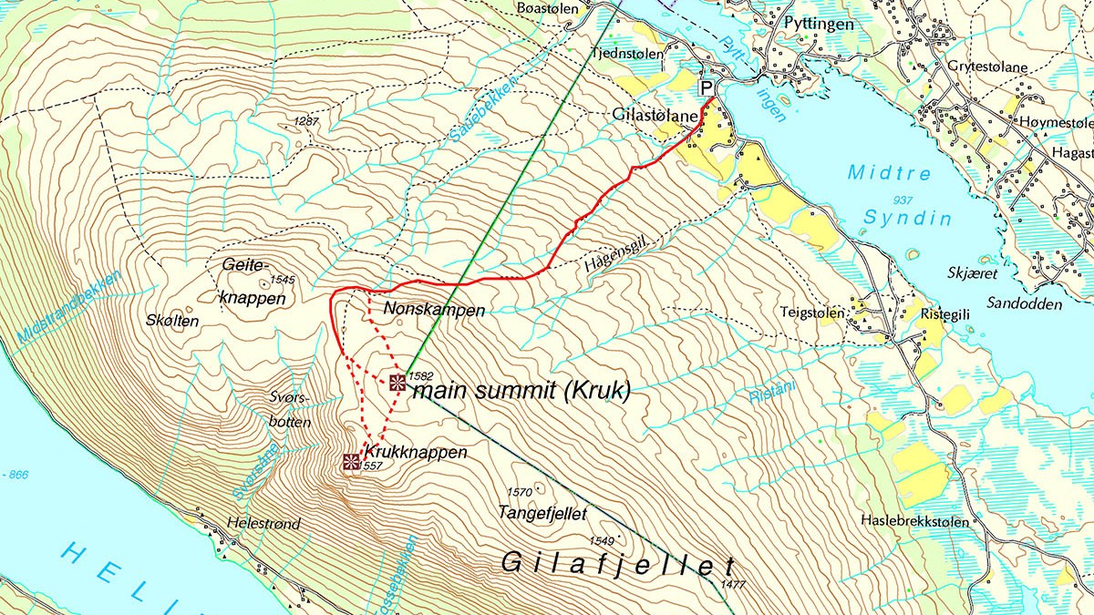 Gilafjellet 1582 moh - topptur i plantevernområde - Valdres