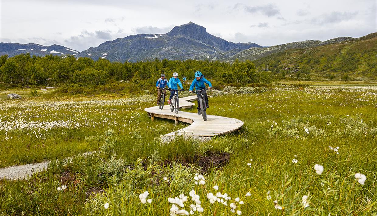 Beitostølen Trail Arena - Valdres