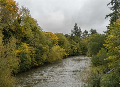 Parc Dolerw | Dolerw Park - Newtown - Visit Mid Wales