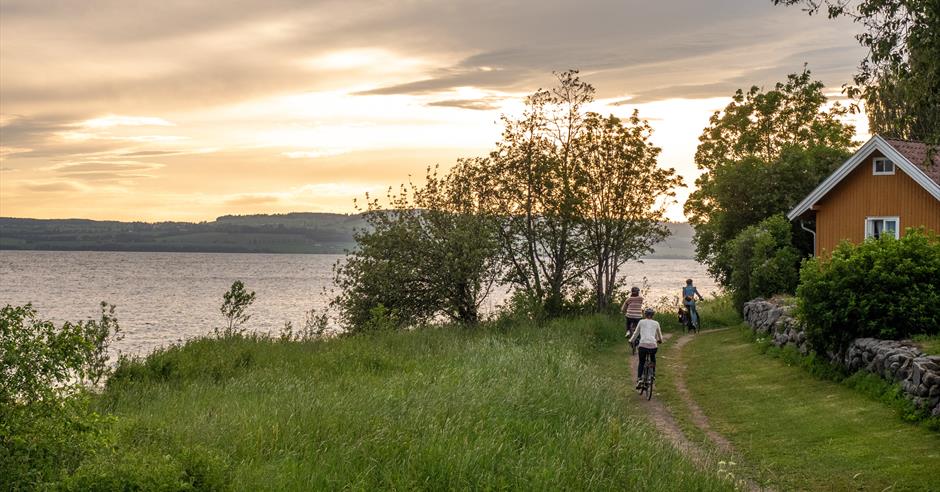 Active around the lake Mjøsa - Visit Mjøsa