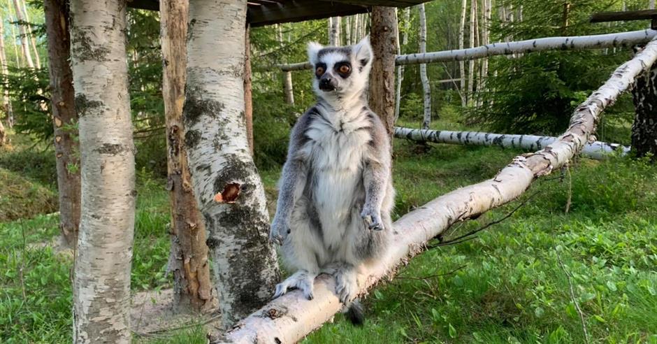 Tangen Dyrepark - Tangen - Visit Mjøsa